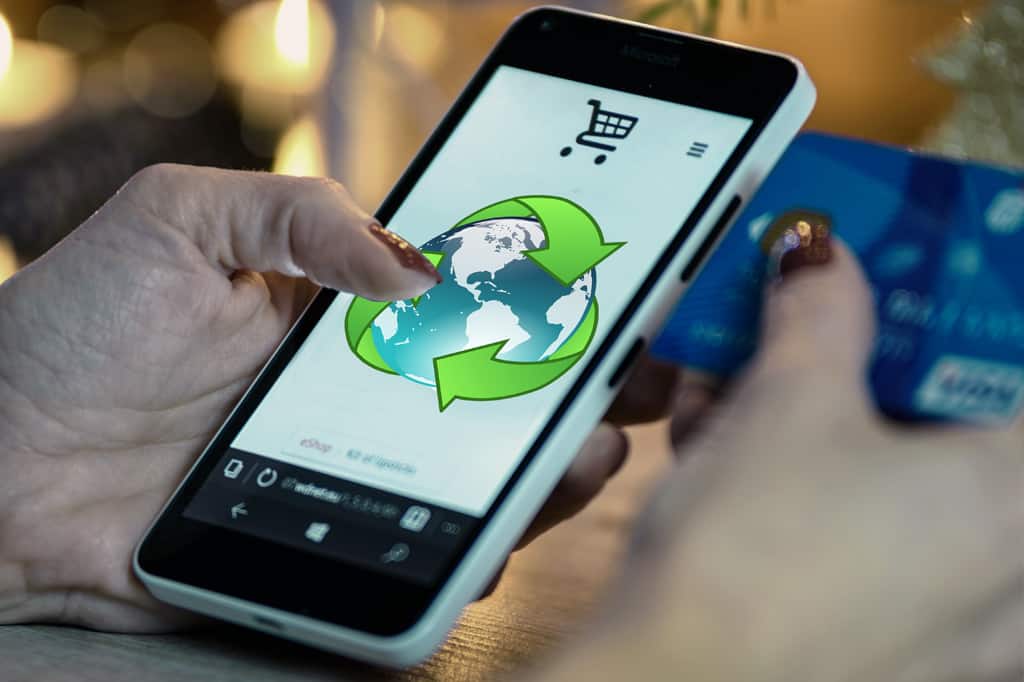 Environmentalism in eCommerce: How to Embrace the Trend